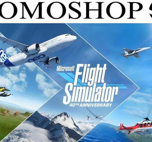 Microsoft Flight Simulator / MFS (Steam)