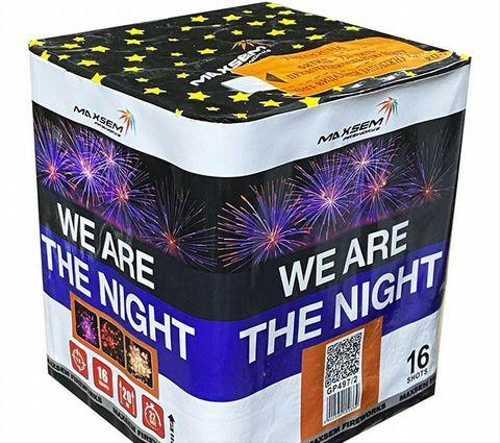 Салют Фейерверк WE ARE THE night 16 залпов