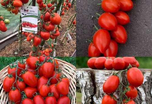 Рассада томатов (помидоров ) от семена партнер