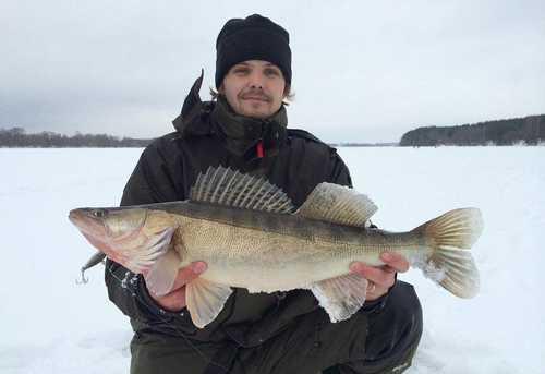 Зимняя рыбалка с гидом