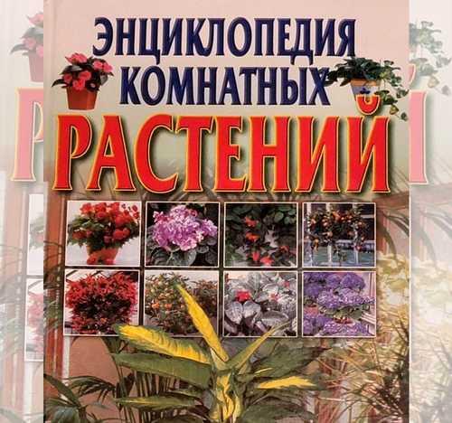 Энциклопедия Комнатных Растений" Быховец 2003г