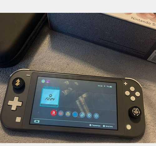 Nintendo switch lite