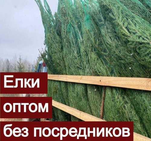 Новогодняя большая елка