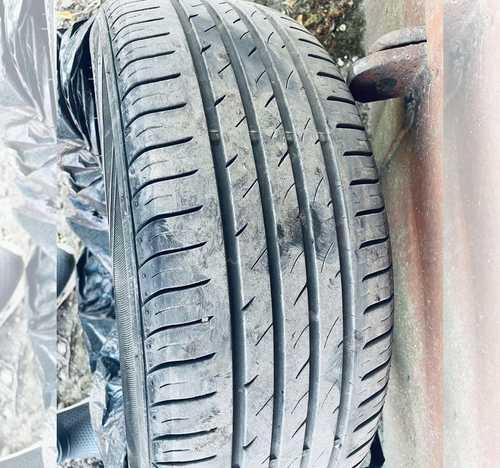 Nexen N'Blue HD Plus 195/55 R16 87H