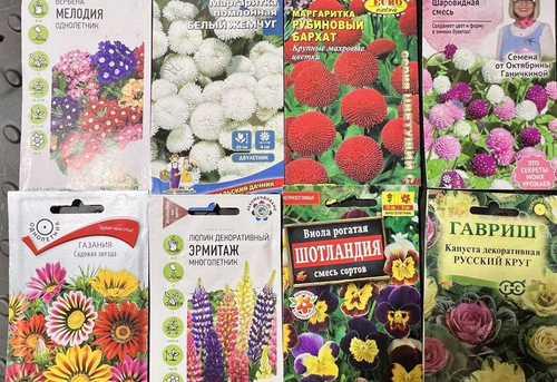Рассада цветов