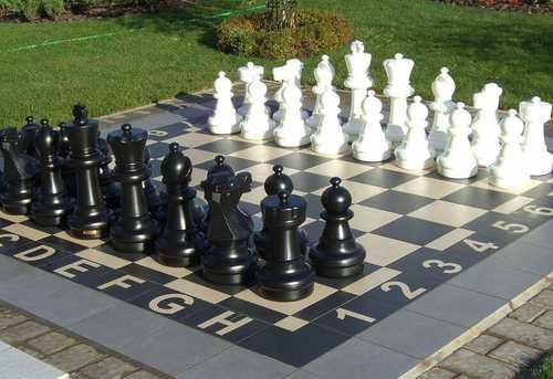 Уличные шахматы большие 60 см