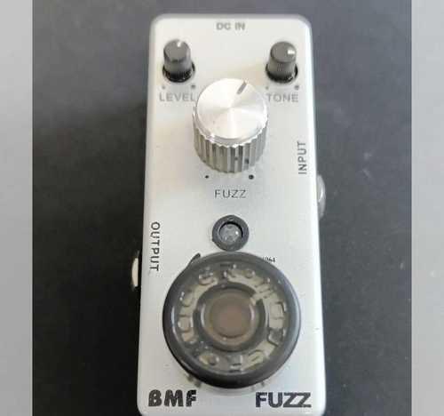 Mustang fuzz