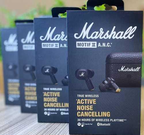 Marshall Motif 2 anc