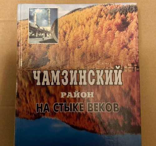 Чамзинский район на стыке веков. 1999 г