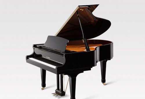 Kawai GX-2