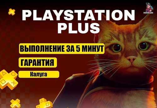 Подписка Ps Plus. Калуга v35