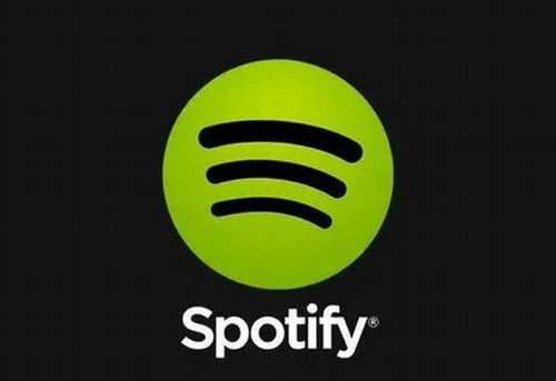 Spotify premium (бессрочно)