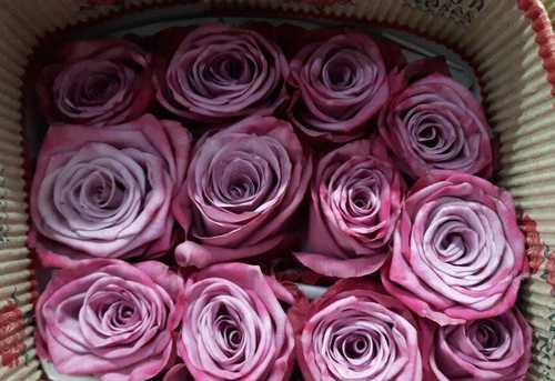 Букет Роз, цветы на 8 марта