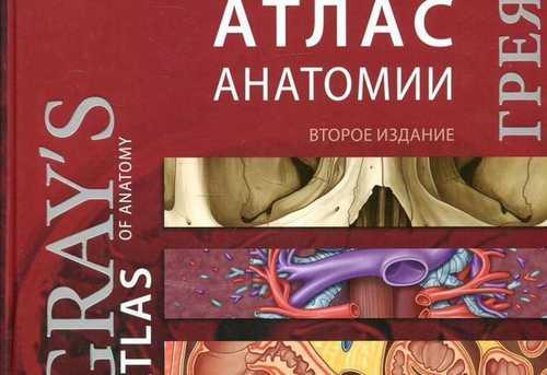 Атлас анатомии Грея, 2-е издание