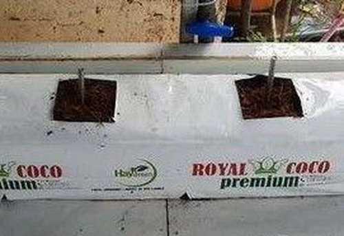 Кокосовый Субстрат в Матах Royal coco Premium