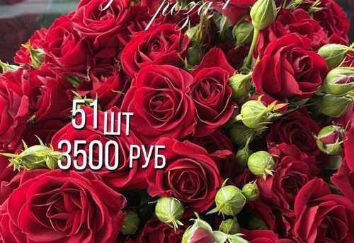 Роза кустовая красная Тольятти доставка
