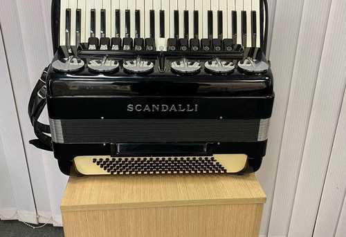 Аккордеон Scandalli