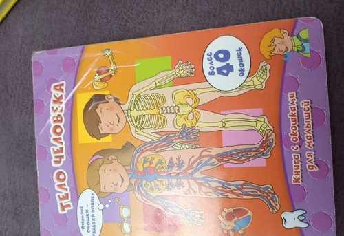 Книга детская с окошками, тело человека
