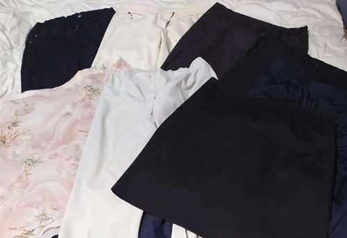 Юбка брюки капри блузка туника женские