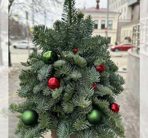 Новогодний Лапник Нобилис 2,5кг декор композиции