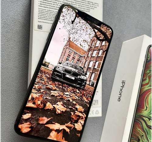 iPhone Xs Max, 256 ГБ