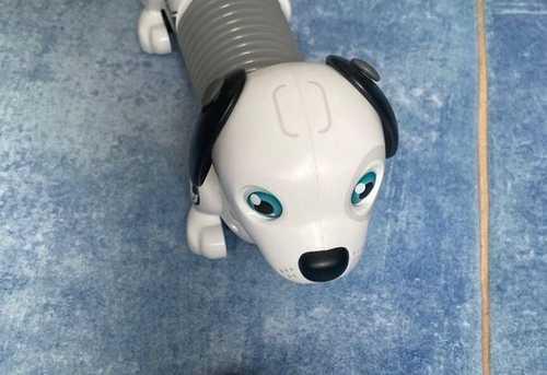 Игрушка Робот Silverlit собака Дэкел Джуниор 88578