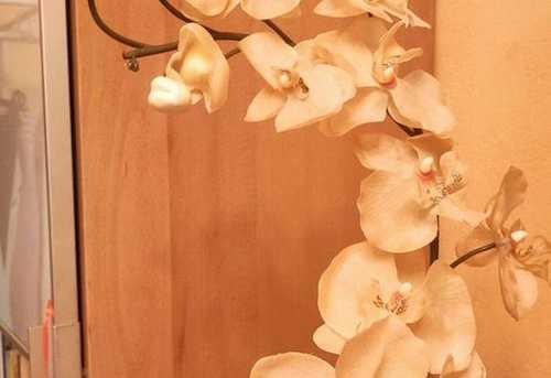 Орхидея искусственная, Икея/ikea