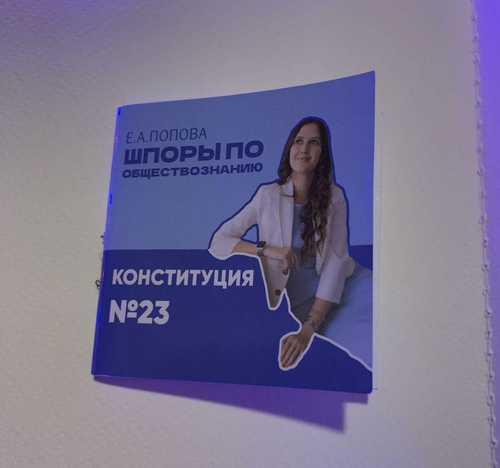 Шпора ЕГЭ по Обществознанию, Задание №23, 7х7см