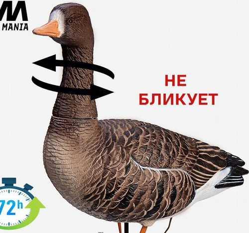 Чучело гусь белолобик механическое robot Duck Mani