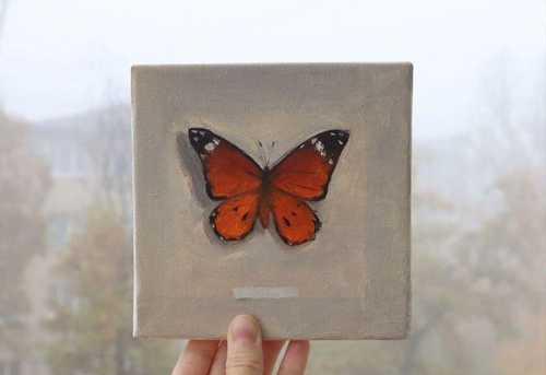 Картина маслом "Бабочка", 15х15 см