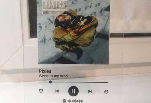 Постер группы pixies