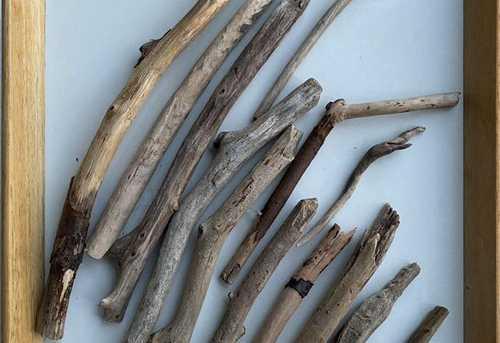 Дрифт вуд driftwood палочки из моря