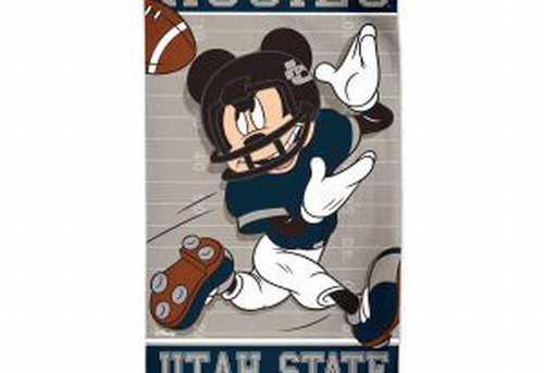 WinCraft Utah State Aggies Пляжное полотенце Disne