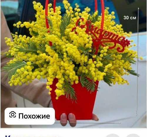 Мимоза в сумочке