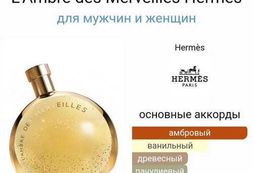Hermes l'ambre des Merveilles