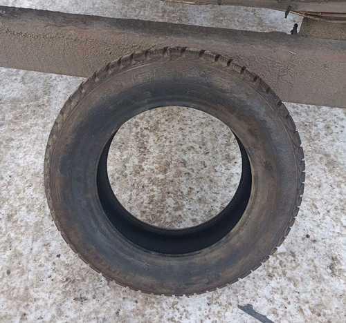 Gislaved Euro Frost 5 195/65 R15 91
