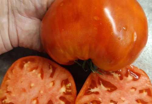 Коллекционные семена томата "Зураб Кухианидзе"