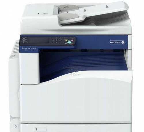 Мфу Xerox DocuCentre SC2020 dadf