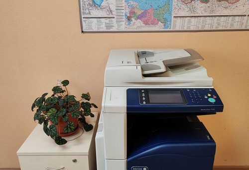 Мфу лазерное Xerox WorkCentre Б/У