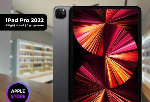 iPad Pro (2022) 11" Wi-Fi 256 Серый космос