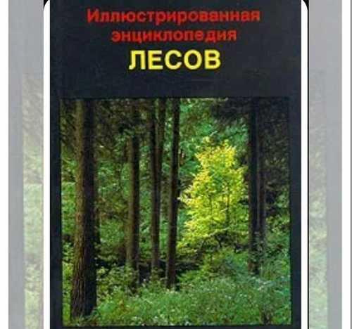 Книга Иллюстрированная энциклопедия лесов