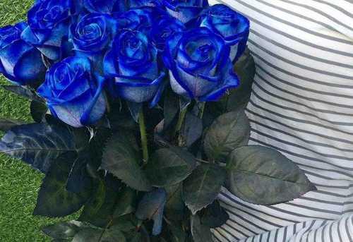 Букет 15 синих роз