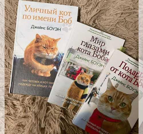 Уличный кот по имени боб