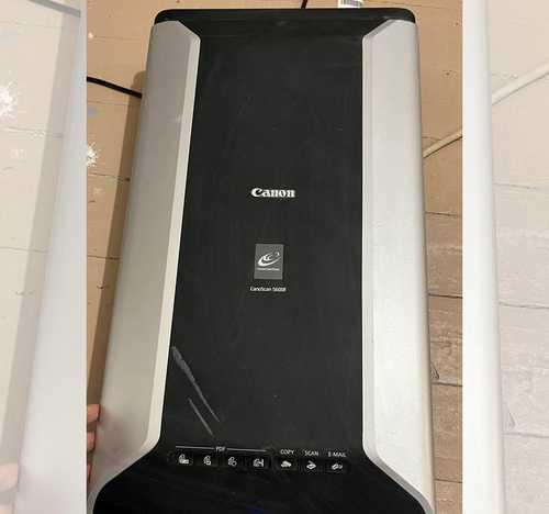 Сканер canon canoscan 5600f