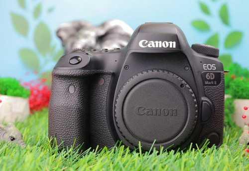 Canon EOS 6D Mark II Body ID283