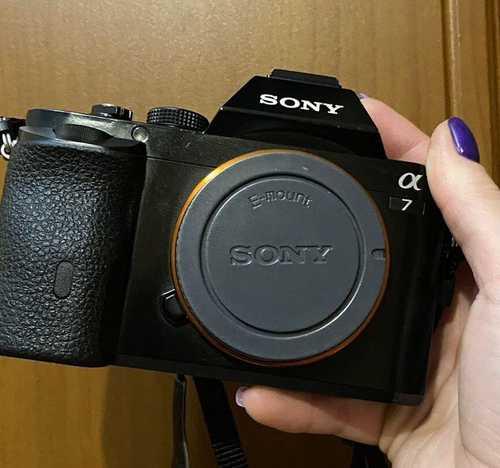 Sony A7 body