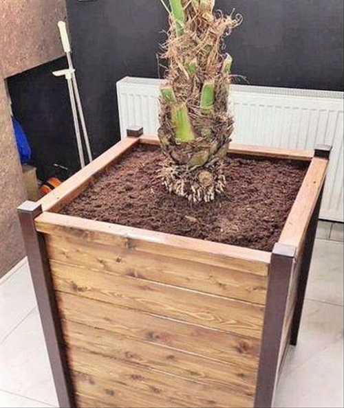Горшки и кашпо для цветов