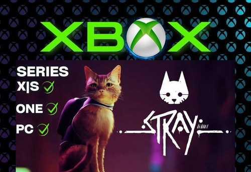 Stray для Xbox и Pc, ключ
