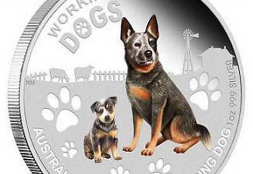 Монета Австралийская пастушья собака Тувалу 2011 г