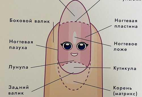 Плакат - учебное пособие